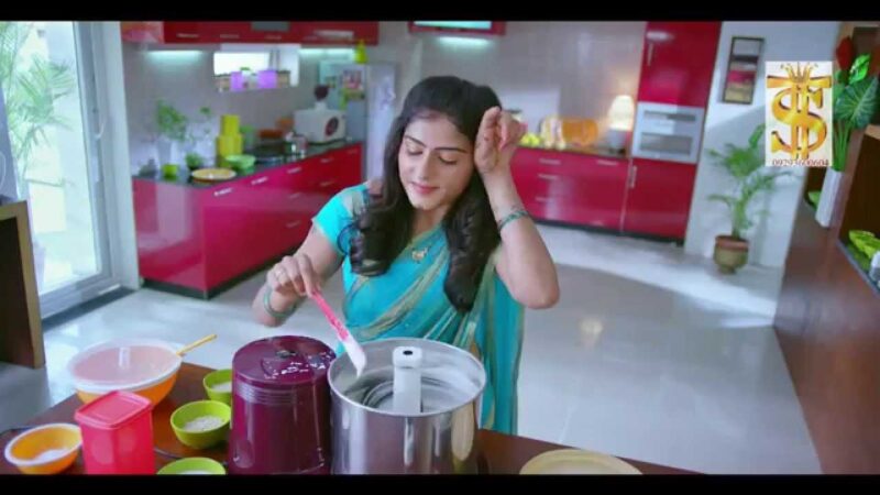 About us – Model Dairy